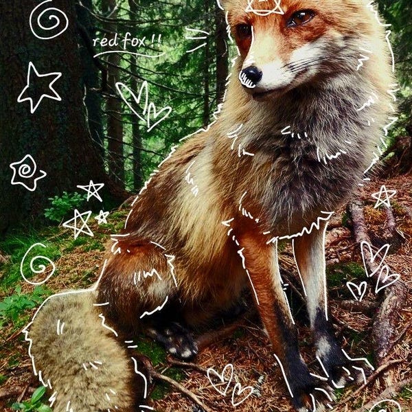 Fox Therian Gear - Etsy