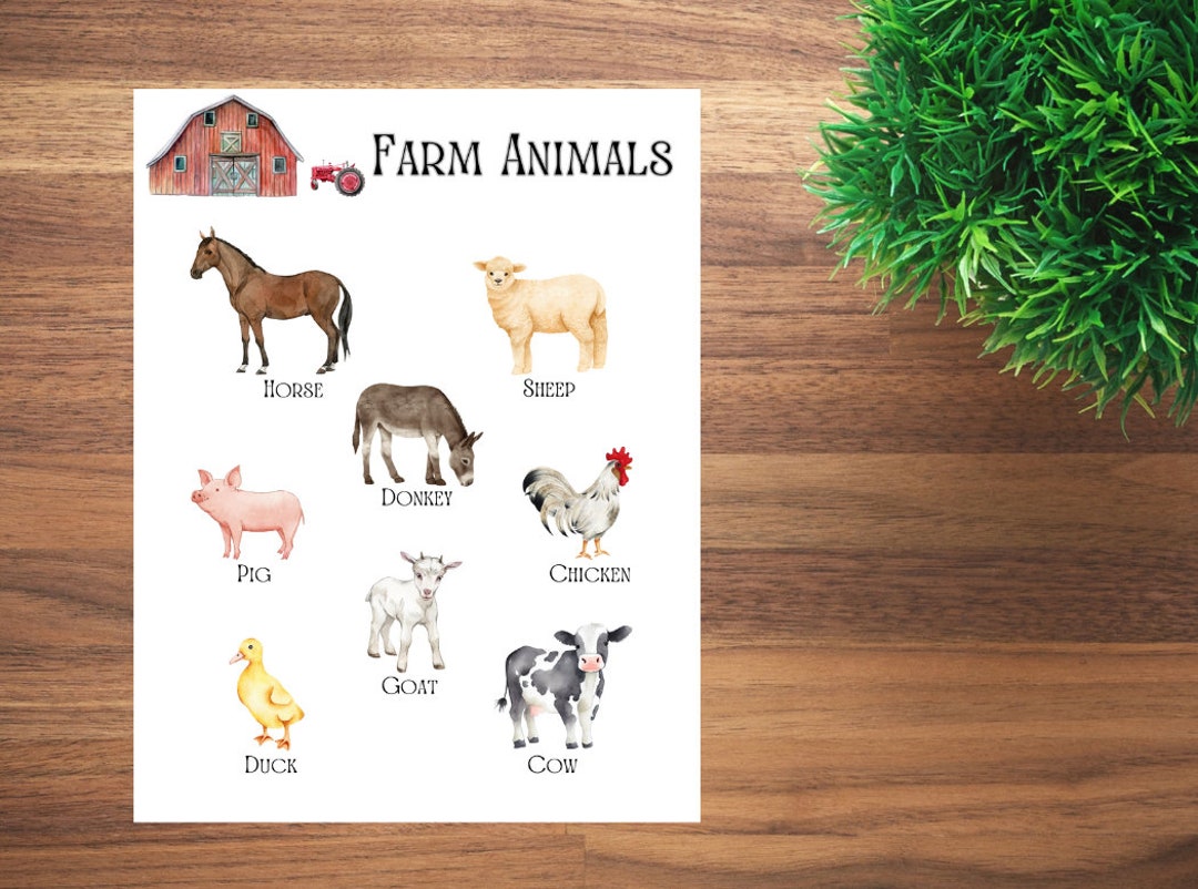 Farm Animals Education Printable for Learning Farm Animals Horse Cow ...
