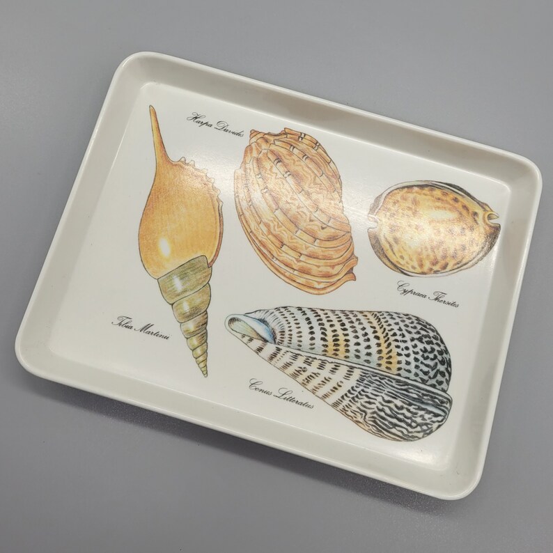 Retro Plastic Tray With Shell Design - Vintage Charm for Your Treasures ...