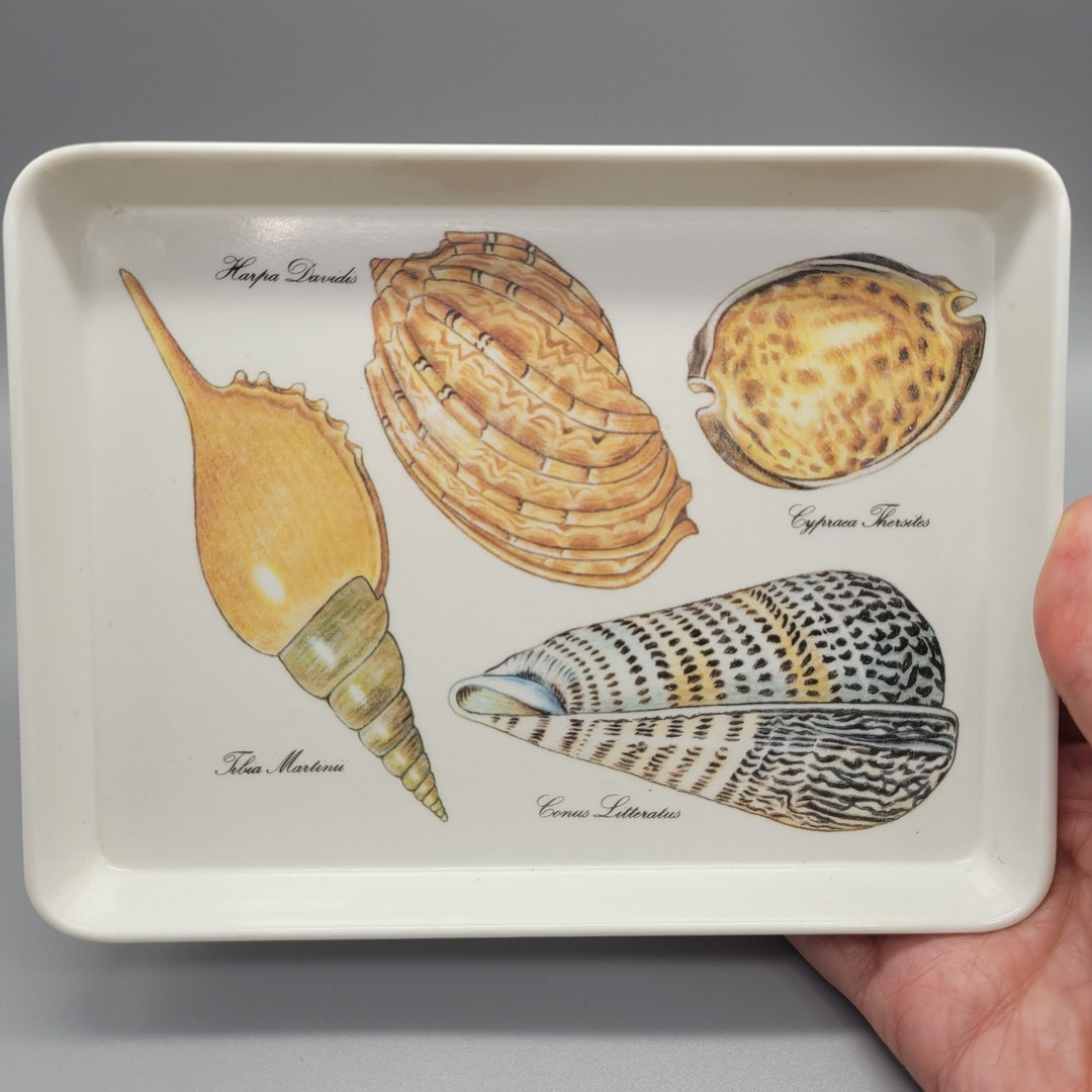Retro Plastic Tray With Shell Design - Vintage Charm for Your Treasures ...