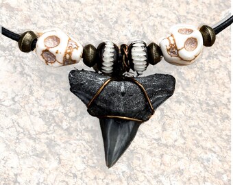Real Shark Tooth Necklace Style 5 Surfer - Etsy