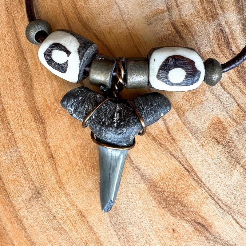 Shark Tooth Necklace - Etsy