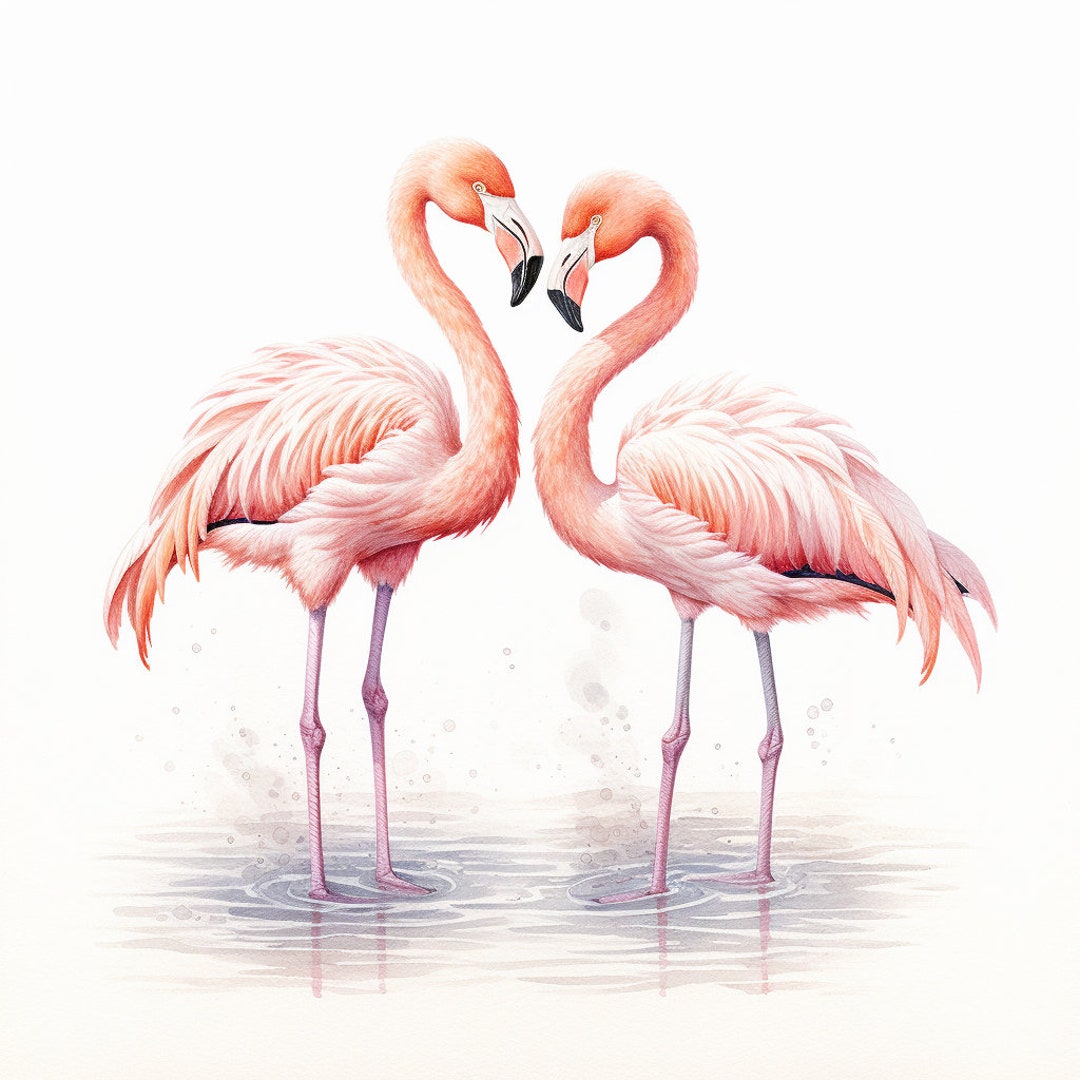 Two Flamingos Watercolor Clip Art 4 JPG Mix Media Card Making ...
