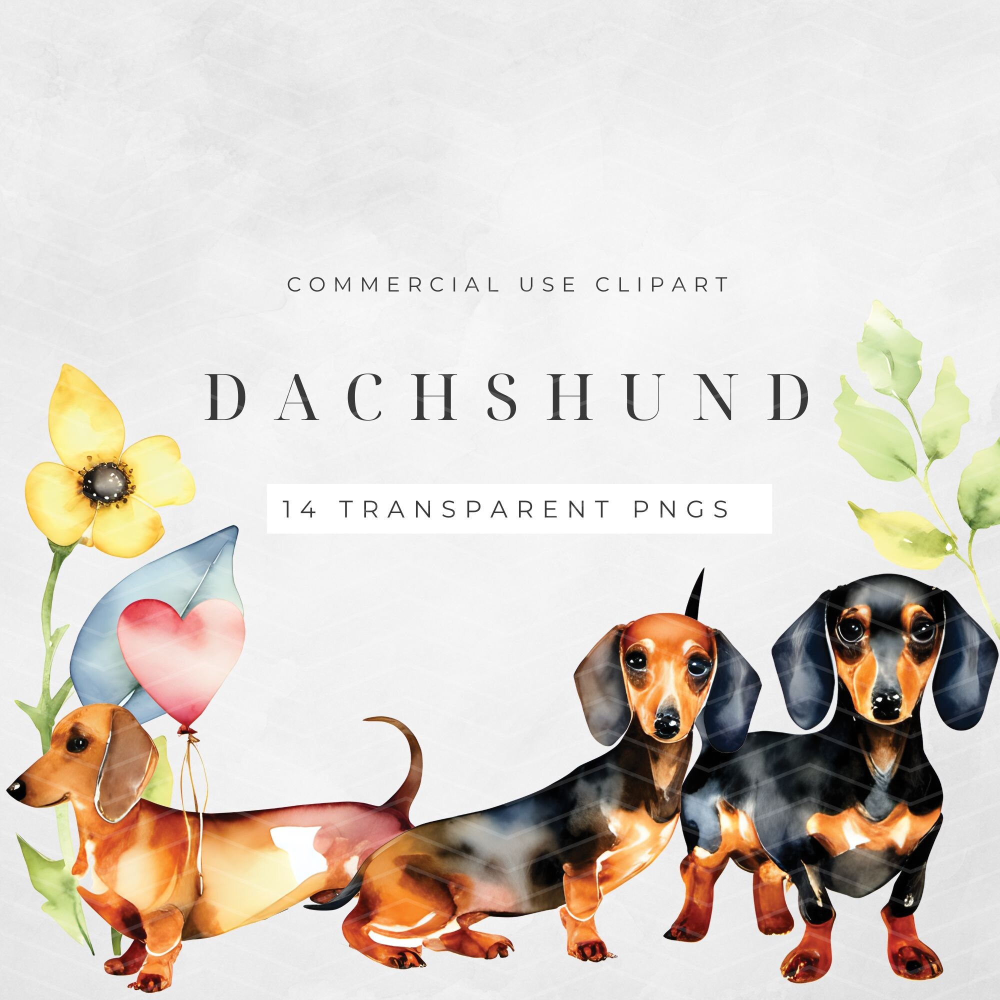 Dachshund Dog Clip Art Pet Svg Sausage Dog Designs Dachshund Png ...