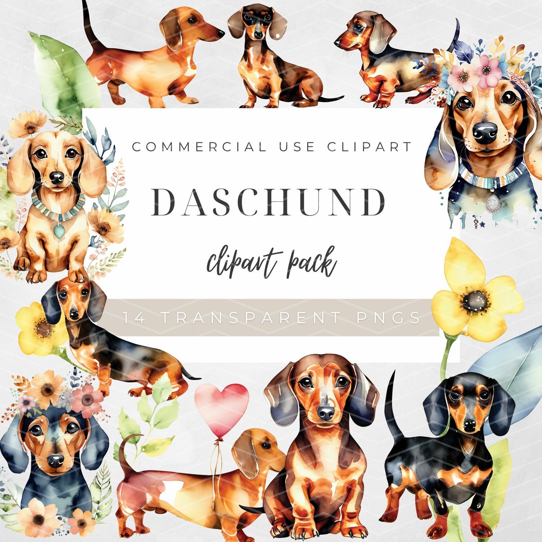 Dachshund Dog Clip Art | Pet Svg | Sausage Dog Designs | Dachshund Png ...