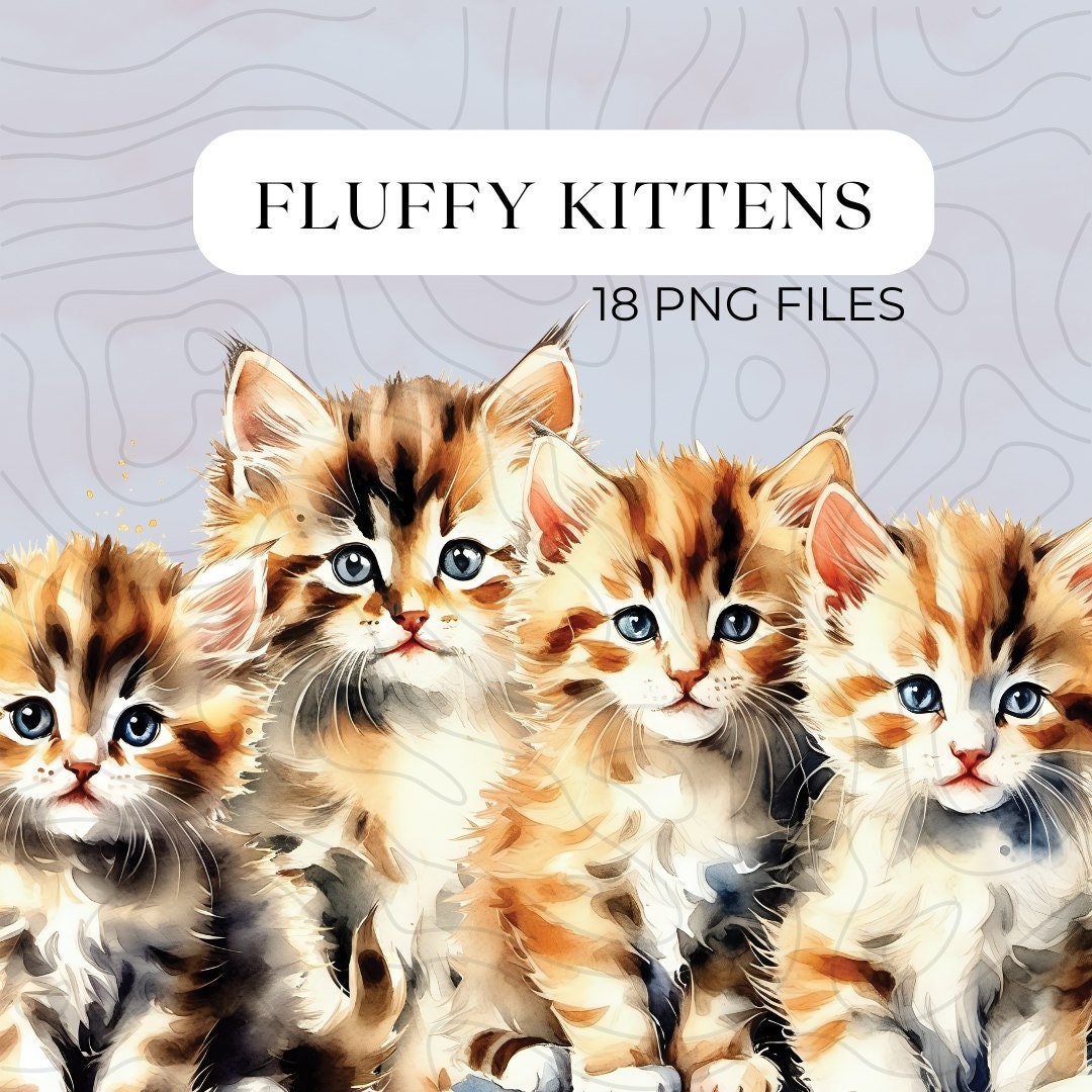 Instant Download | Cute Cat | Watercolor Floral Kitten Clipart ...