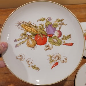 Rosenthal Netter Dishes Vintage 1970's Vegetable Plates Set of 4 W ...