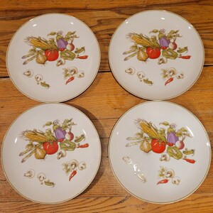 Rosenthal Netter Dishes Vintage 1970's Vegetable Plates Set of 4 W ...