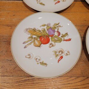 Rosenthal Netter Dishes Vintage 1970's Vegetable Plates Set of 4 W ...