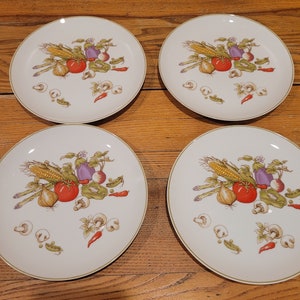 Rosenthal Netter Dishes Vintage 1970's Vegetable Plates Set of 4 W ...