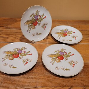 Rosenthal Netter Dishes Vintage 1970's Vegetable Plates Set of 4 W ...