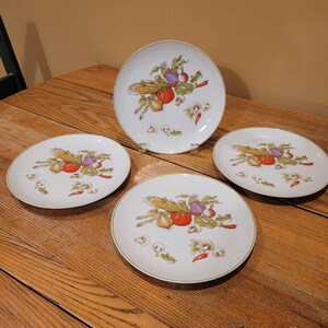 Rosenthal Netter Dishes Vintage 1970's Vegetable Plates Set of 4 W ...
