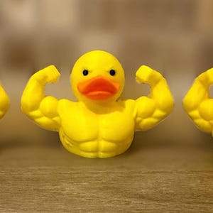 Muscle Body Builder Duck - Gym - 3D Printed Figurine - Jeep Ducking ...
