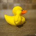 Muscle Body Builder Duck - Gym - 3D Printed Figurine - Jeep Ducking ...