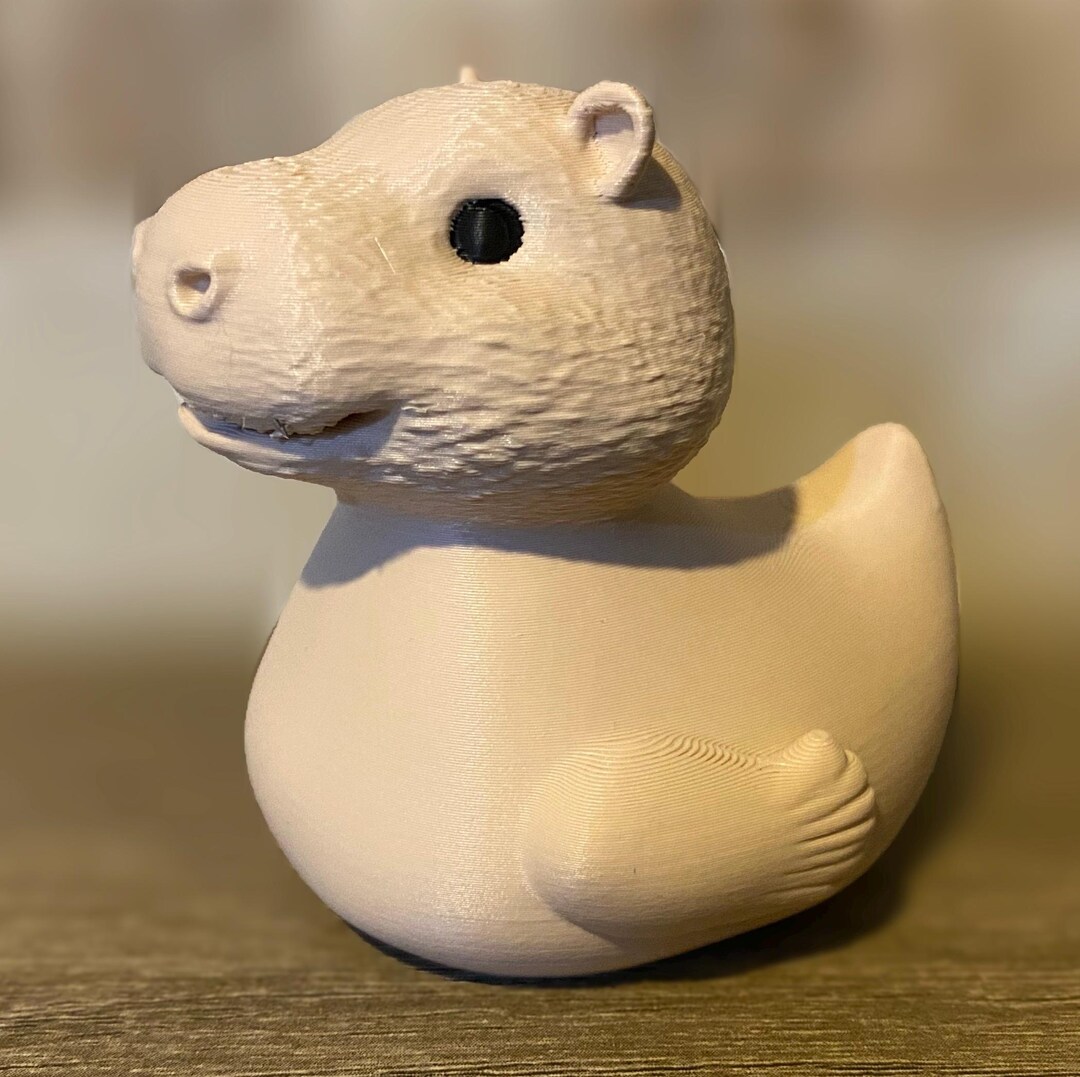 Capybara Duck - Etsy