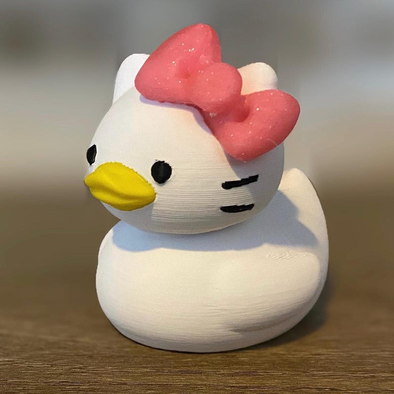 Decoy Gift Wrap - 60+ Gift Ideas for 2026