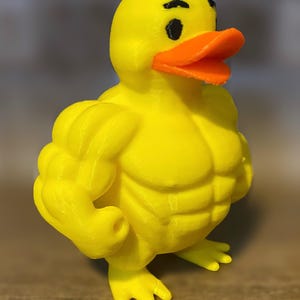 Muscle Body Builder Duck - 3D Printed Figurine - Car Dashboard Decor ...