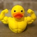 Muscle Body Builder Duck - Gym - 3D Printed Figurine - Jeep Ducking ...