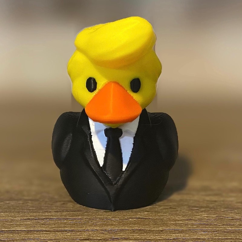 Trump Duck Prints - Etsy