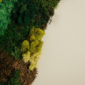 3D Moss Panels | Corner Moss Wall Art Decor | Custom Made Preserved ...