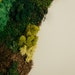 3D Moss Panels | Corner Moss Wall Art Decor | Custom Made Preserved ...