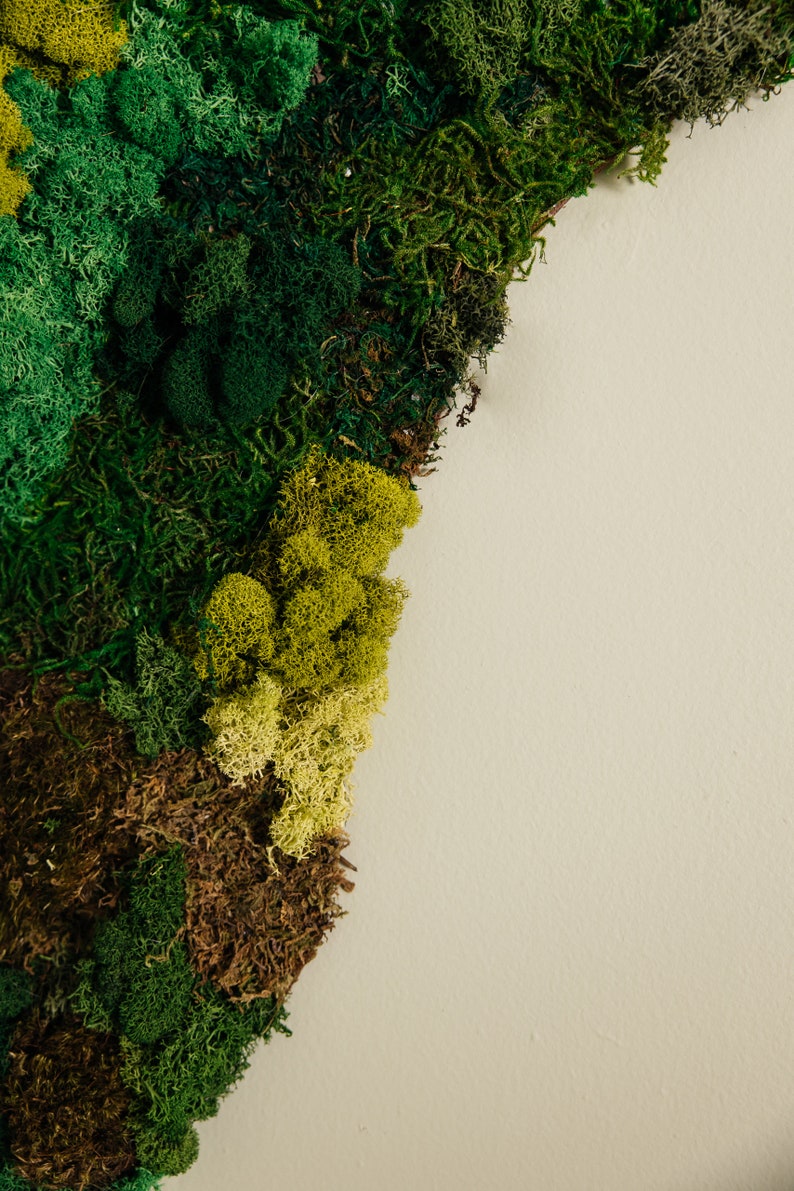 3D Moss Panels | Corner Moss Wall Art Decor | Custom Made Preserved ...