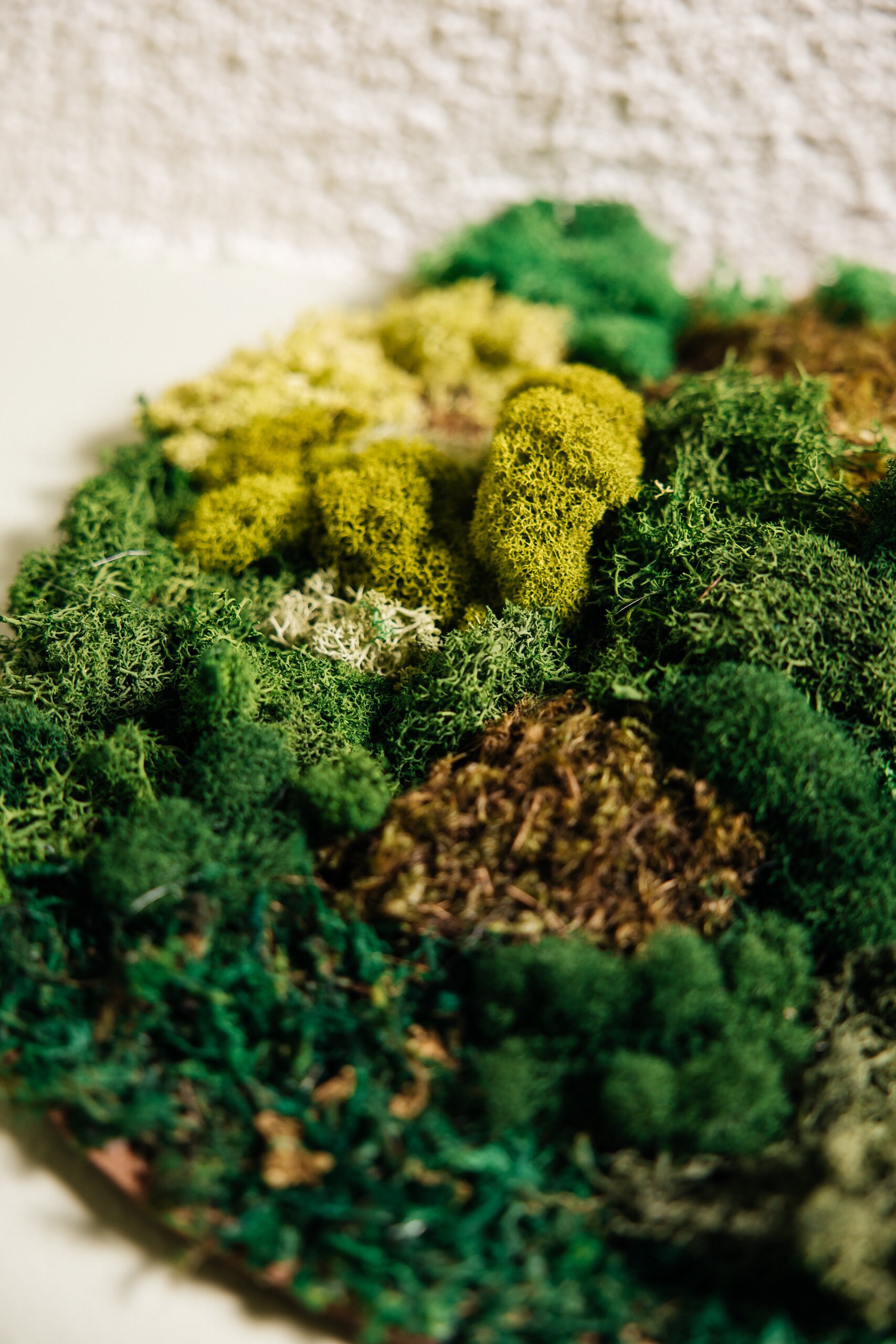 3D Moss Panels | Corner Moss Wall Art Decor | Custom Made Preserved ...