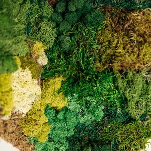 3D Moss Panels | Corner Moss Wall Art Decor | Custom Made Preserved ...