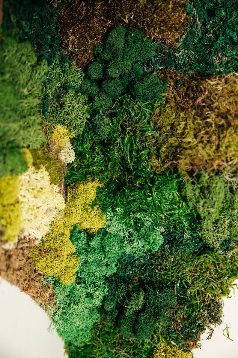 3D Moss Panels | Corner Moss Wall Art Decor | Custom Made Preserved ...