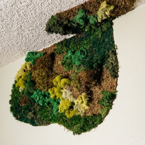 3D Moss Panels | Corner Moss Wall Art Decor | Custom Made Preserved ...