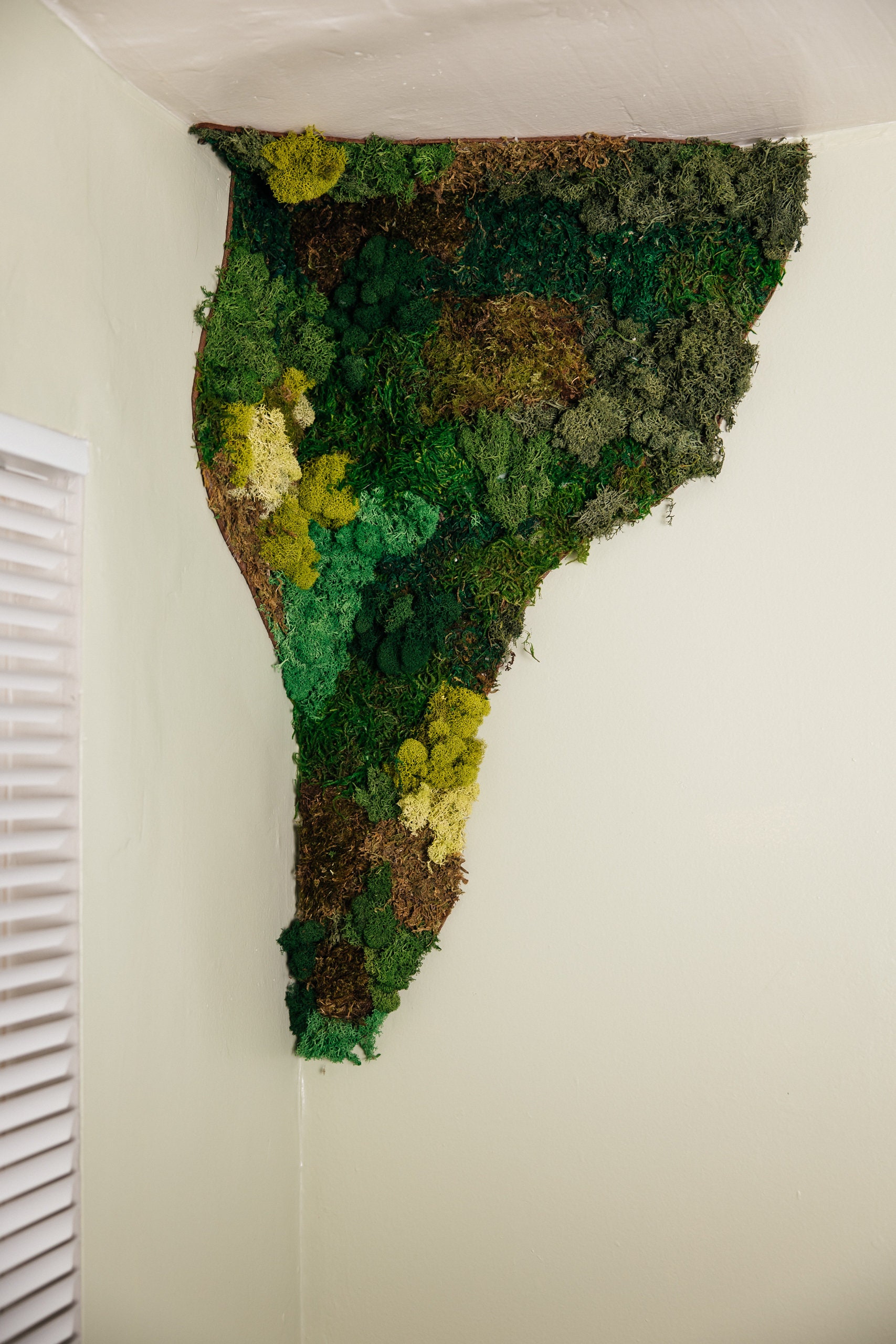 3D Moss Panels | Corner Moss Wall Art Decor | Custom Made Preserved ...