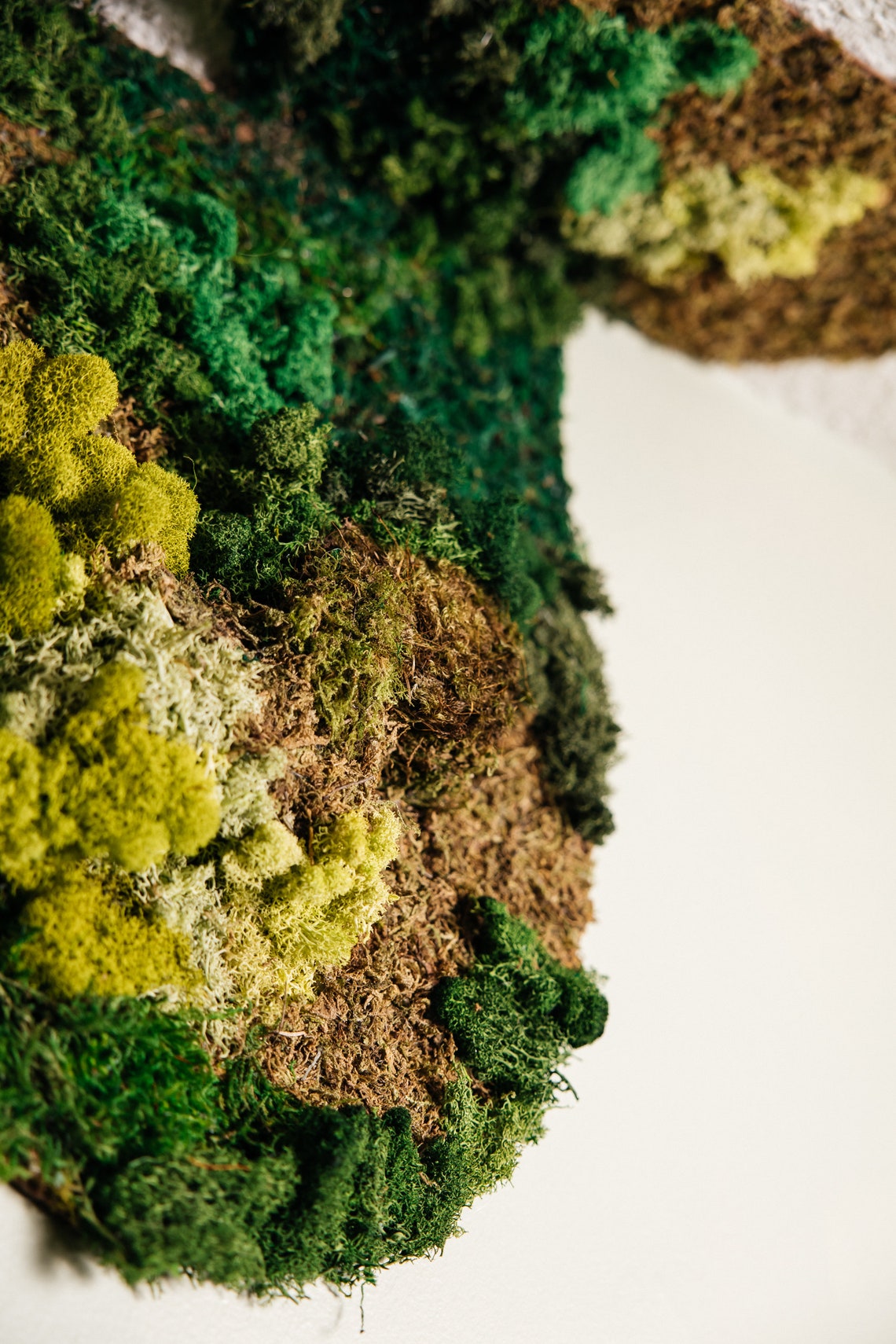 3D Moss Panels | Corner Moss Wall Art Decor | Custom Made Preserved ...