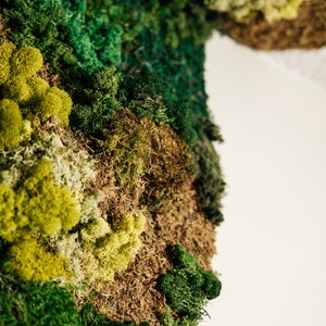 3D Moss Panels | Corner Moss Wall Art Decor | Custom Made Preserved ...