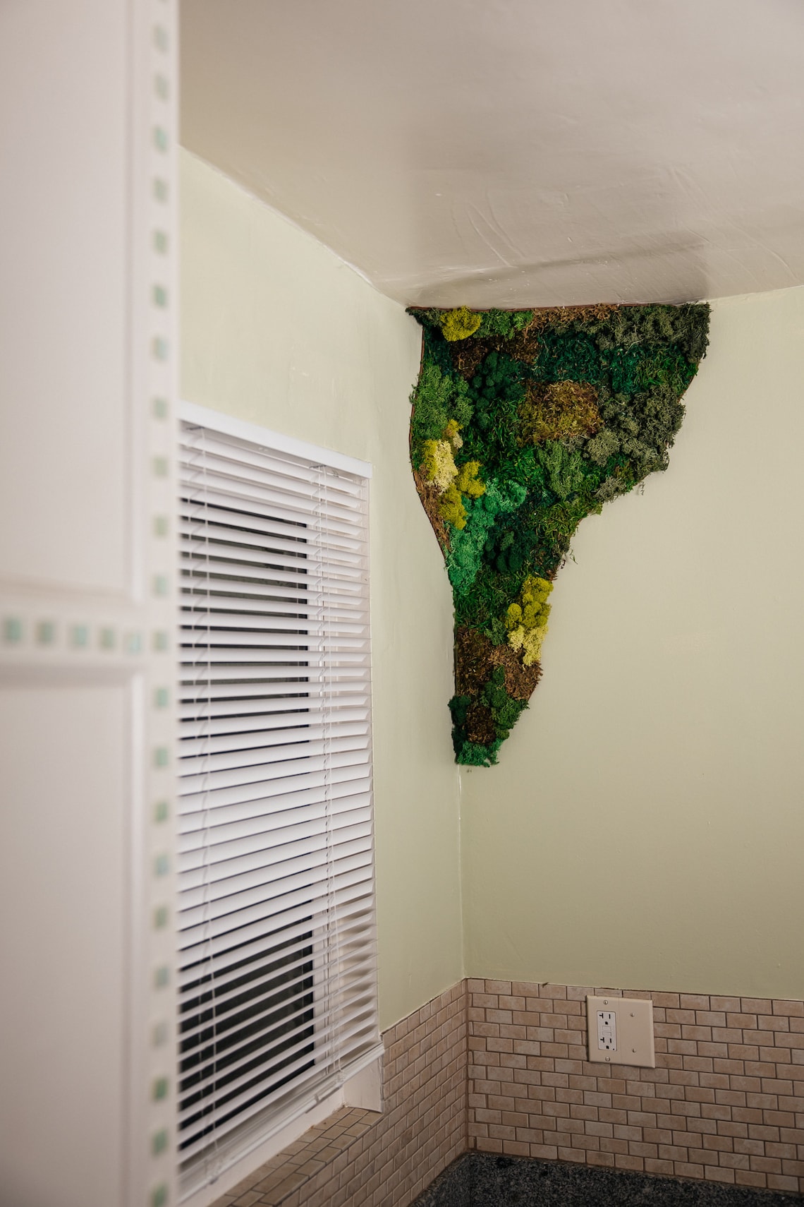 3D Moss Panels | Corner Moss Wall Art Decor | Custom Made Preserved ...