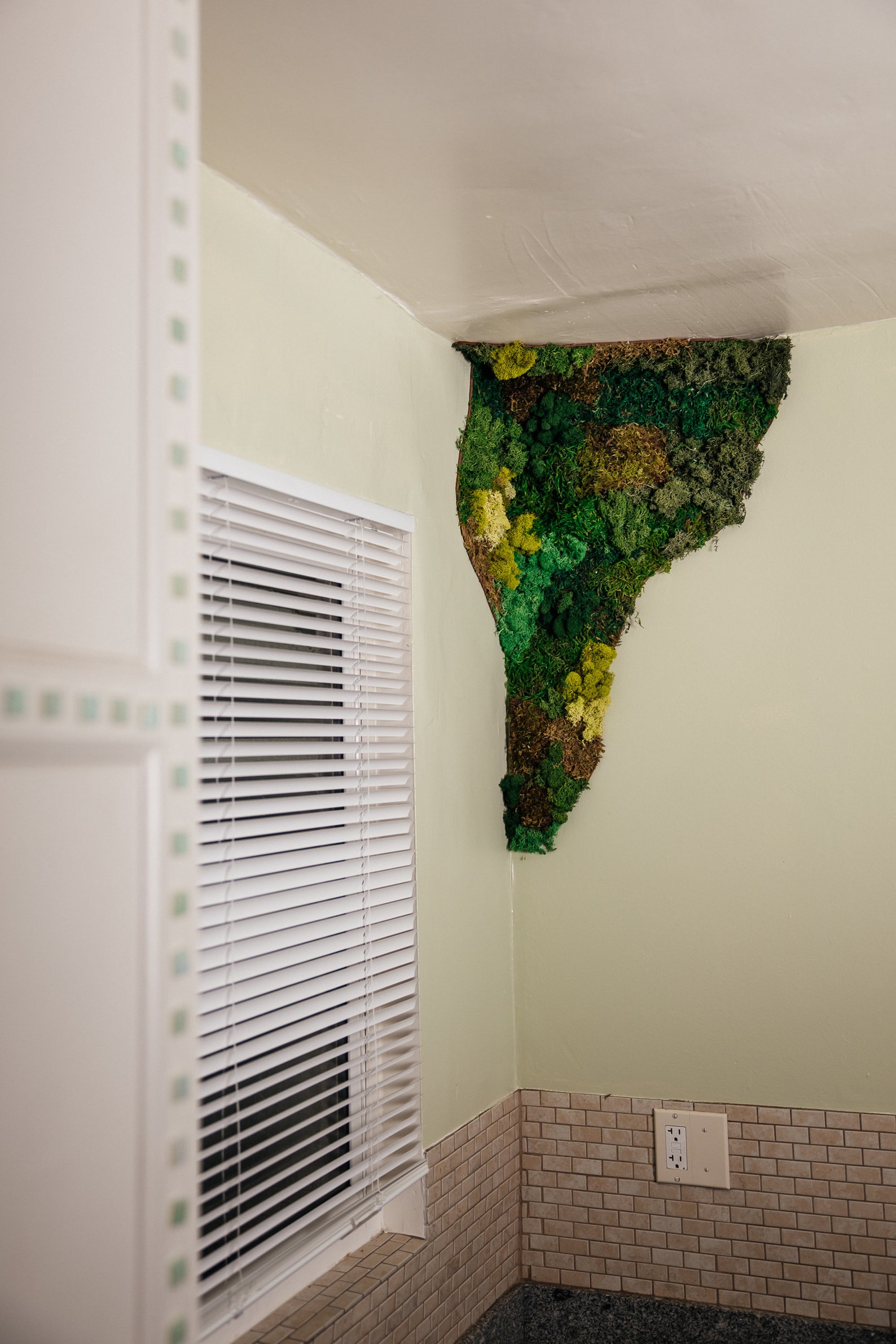 3D Moss Panels | Corner Moss Wall Art Decor | Custom Made Preserved ...