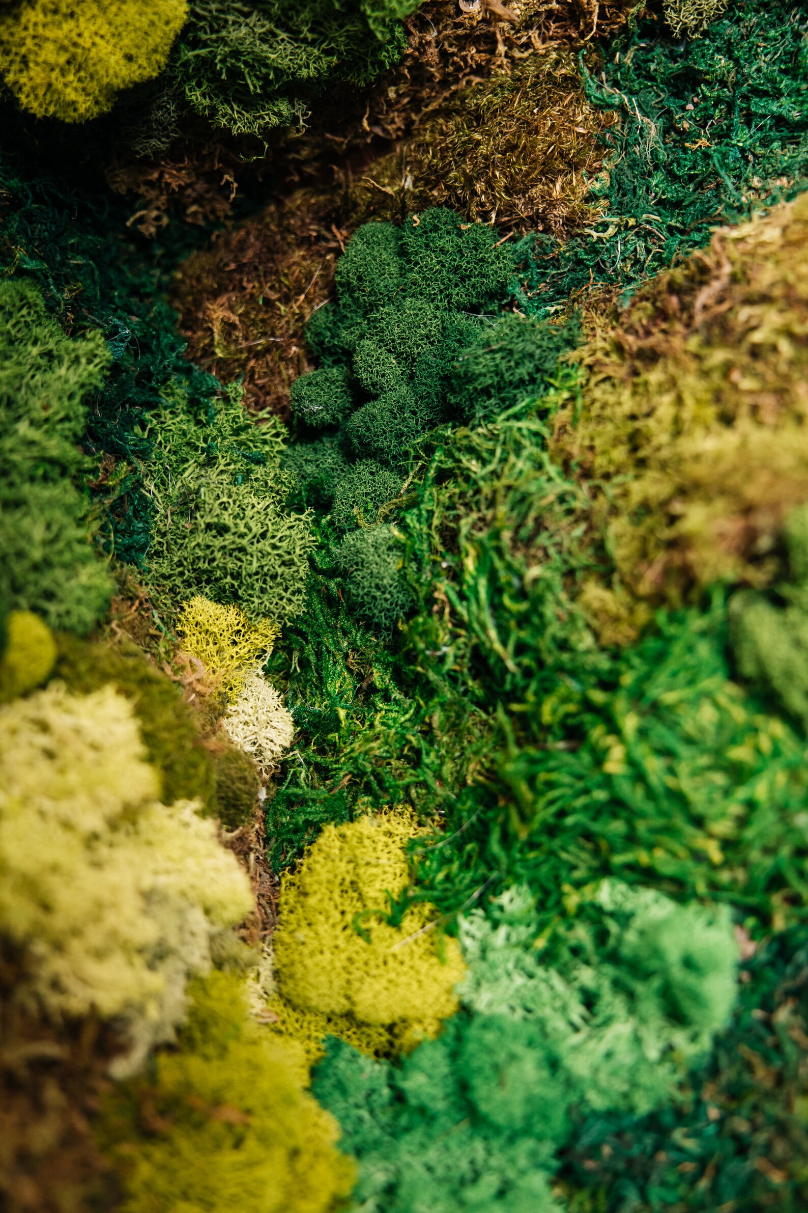 3D Moss Panels | Corner Moss Wall Art Decor | Custom Made Preserved ...