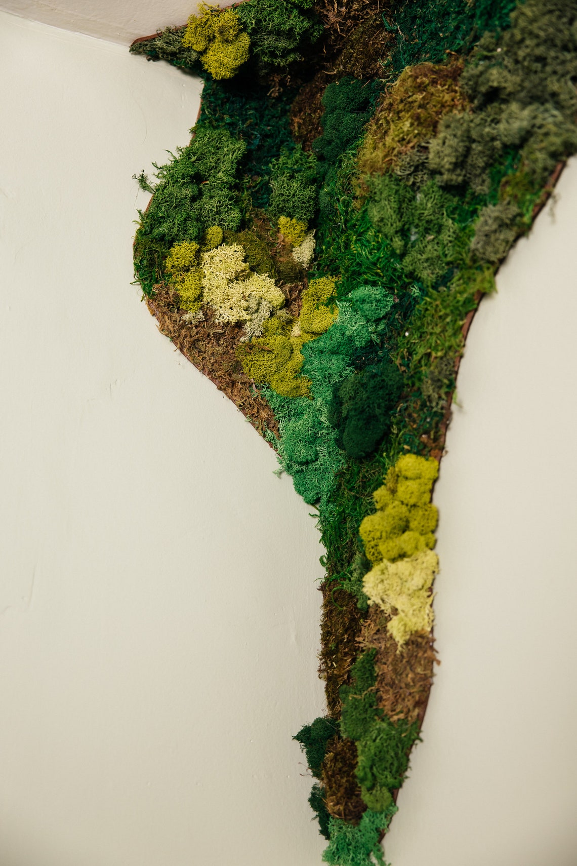 3D Moss Panels | Corner Moss Wall Art Decor | Custom Made Preserved ...