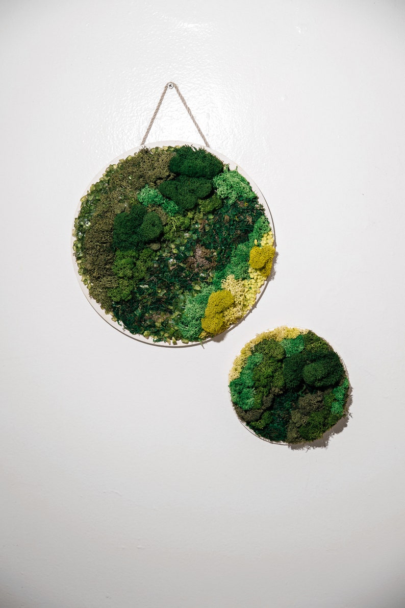 Set of 2 Preserved Moss Wall Art | Handmade Natural Stone Decor - Etsy