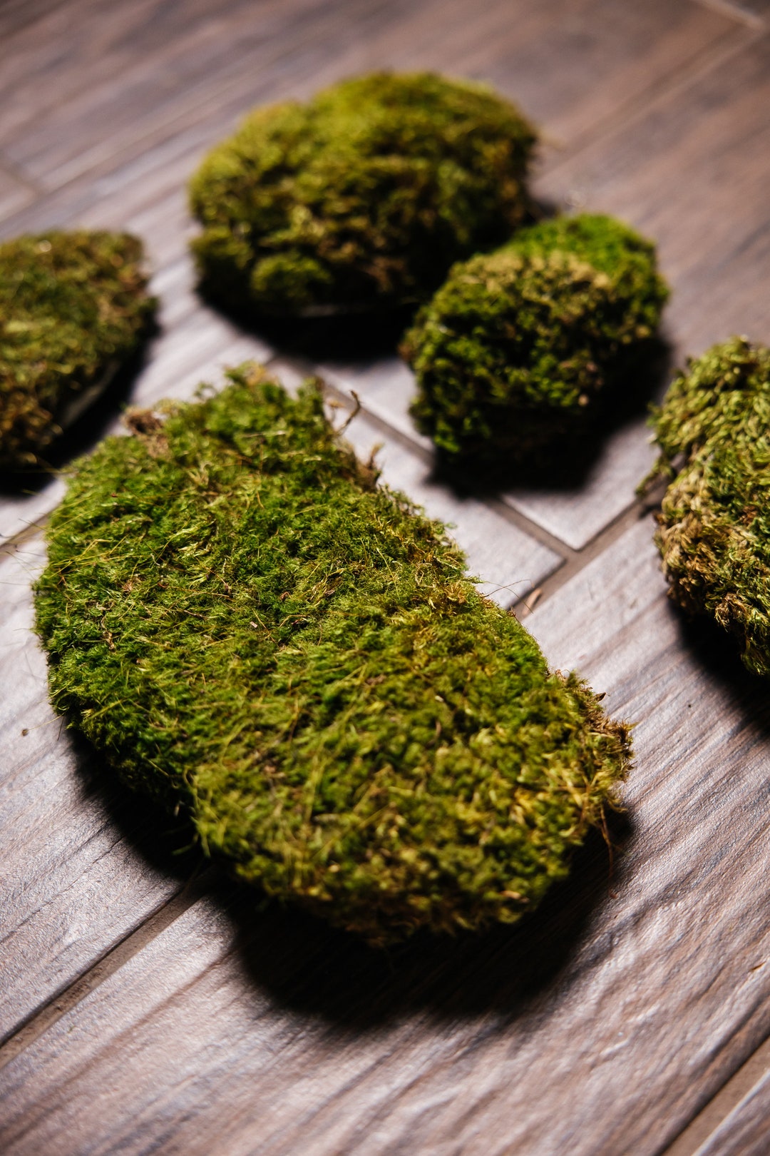 Real Moss Stickers Moss Patches for Wall Decor Filling Holes and ...