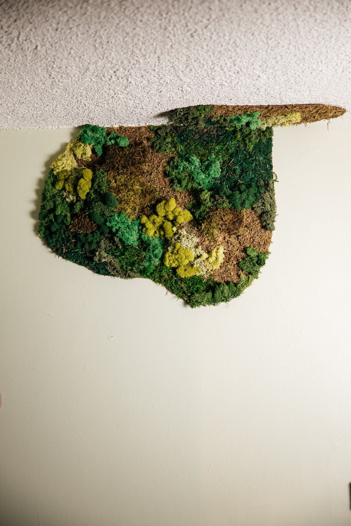 3D Moss Panels | Corner Moss Wall Art Decor | Custom Made Preserved ...