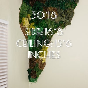 3D Moss Panels | Corner Moss Wall Art Decor | Custom Made Preserved ...