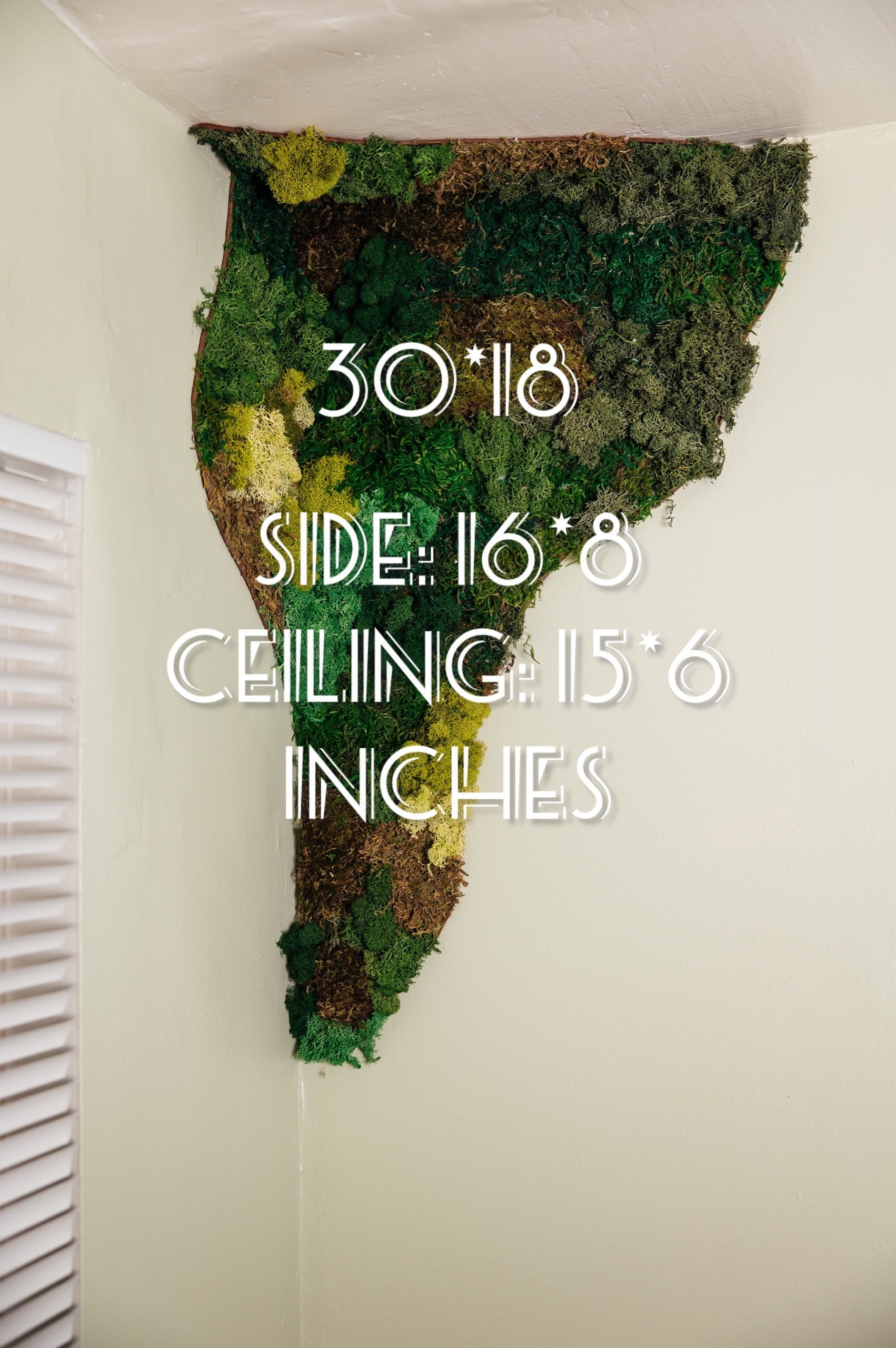 3D Moss Panels | Corner Moss Wall Art Decor | Custom Made Preserved ...