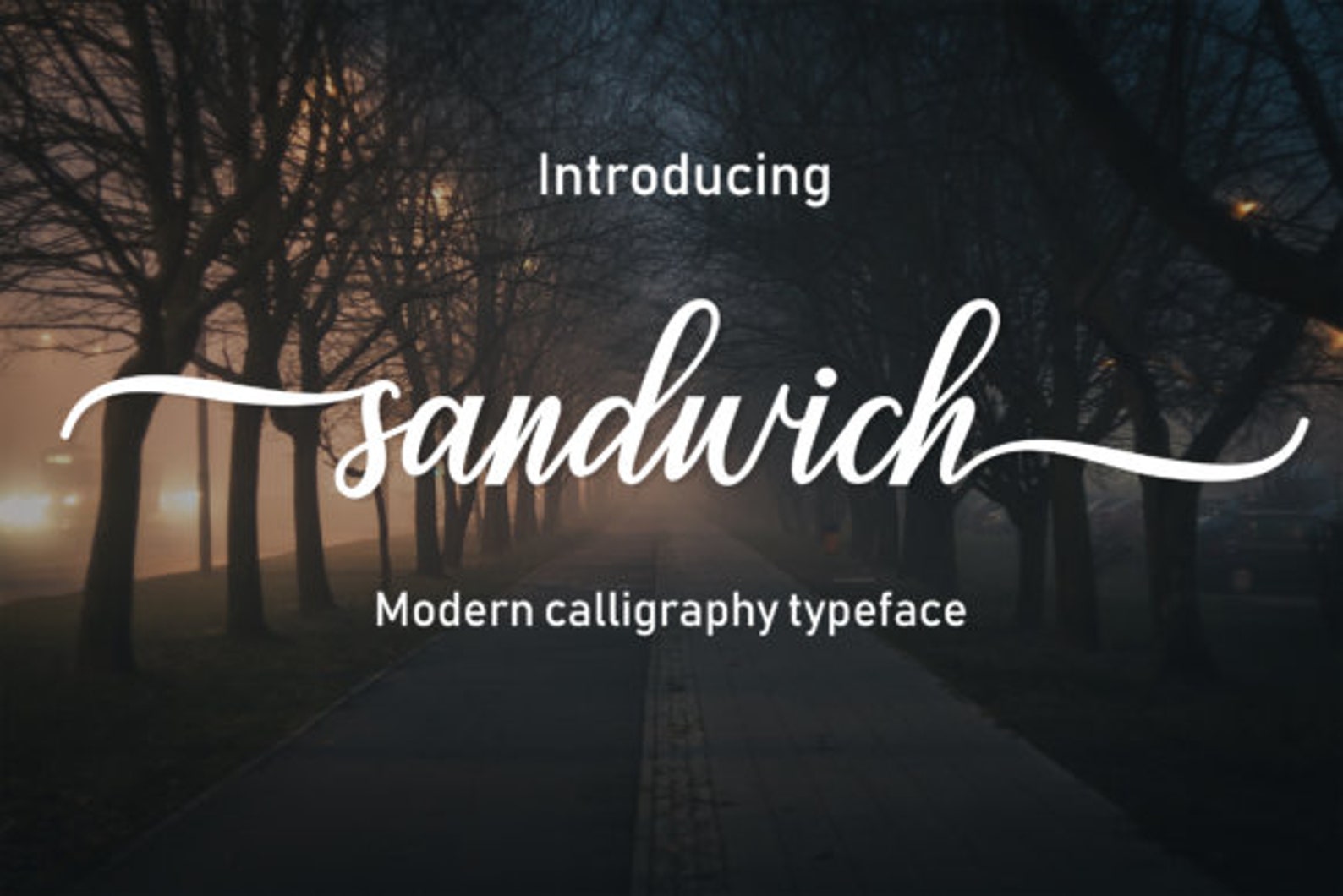 Sandwich Font, Modern Font, Handwritten Font, Fancy Font, Canva Font ...