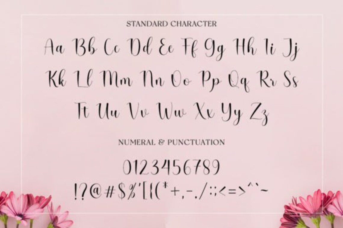 Sofia Font, Wedding Script Font, Modern Font, Display Font, Cricut Font Script, Font Bundle for ...