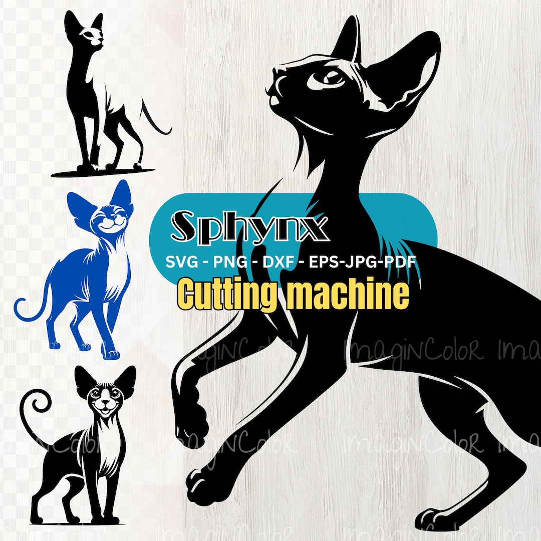 Sphynx Cat Vector SVG Silhouettes, Cat SVG PNG Eps Dxf, Cricut Cutting ...