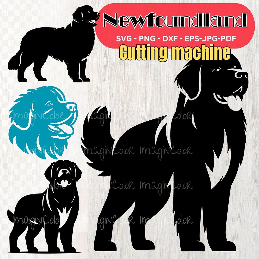 Dog Silhouettes Newfoundland SVG, Dog SVG PNG Eps Dxf,puppy,dog Cricut ...