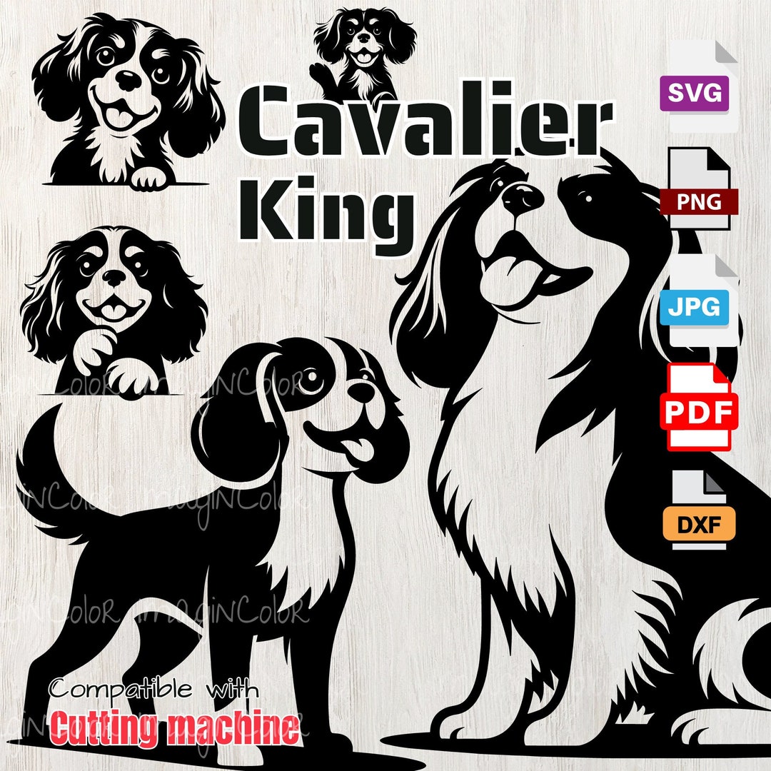 Cavalier King Dog Silhouettes, Dog SVG PNG Eps Dxf, Puppy, Dog Cricut ...