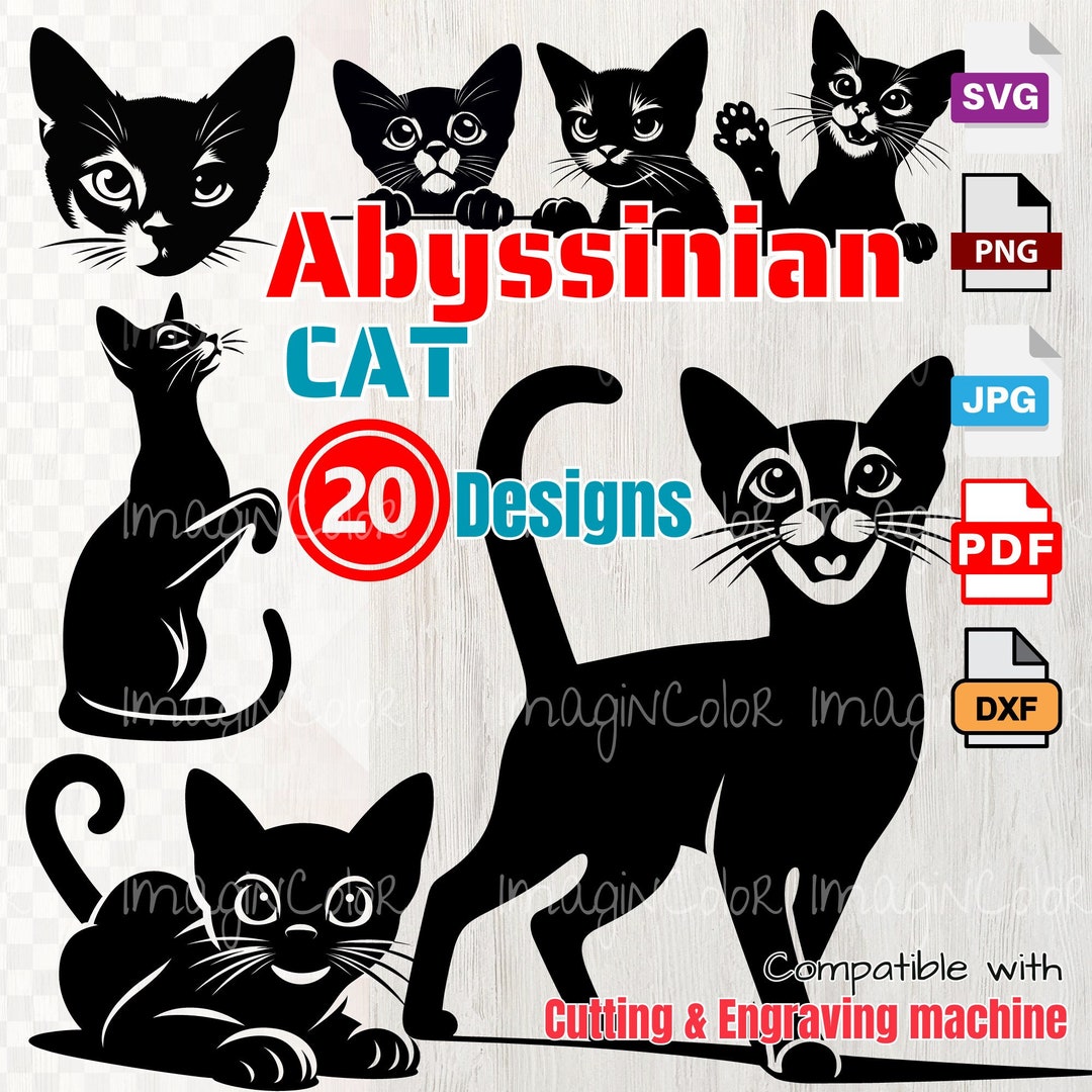Abyssinian Cat Vector SVG Silhouettes, Cat SVG PNG Eps Dxf, Cricut ...