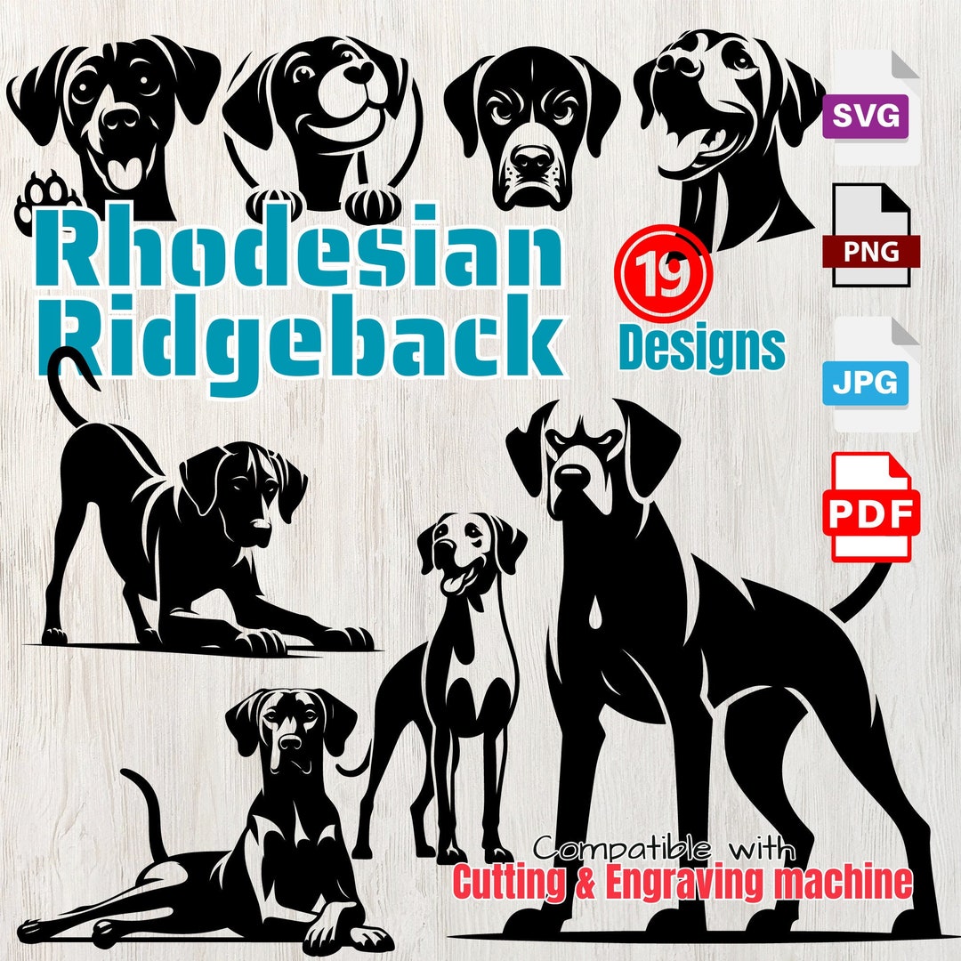 19 Rhodesian Ridgeback Dog Bundle, Silhouettes Svg Png,peeking Dog Png ...