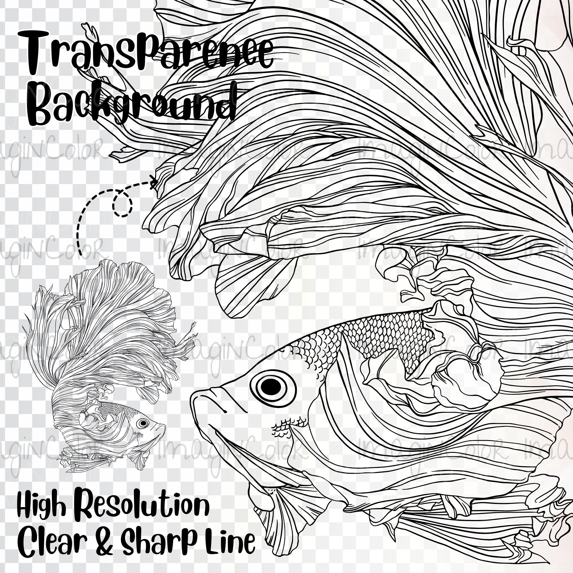 Fish SVG, Betta Fish Svg, Siamese Fighting Fis,aquarium,laser Engraver ...